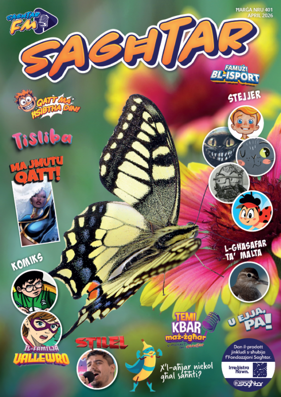 Fondazzjoni Saghtar